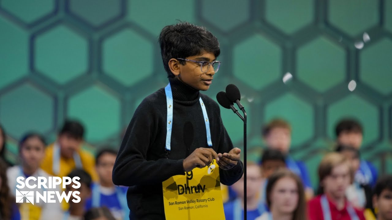 Scripps National Spelling Bee buzzes into the quarterfinals round ...