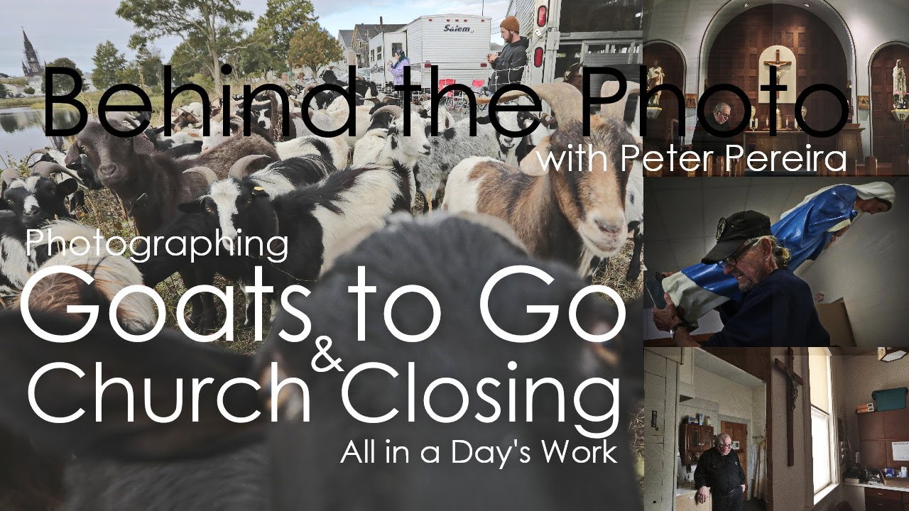Behind the Photo: Photographing Goats to Go and a Church Closing. All ...