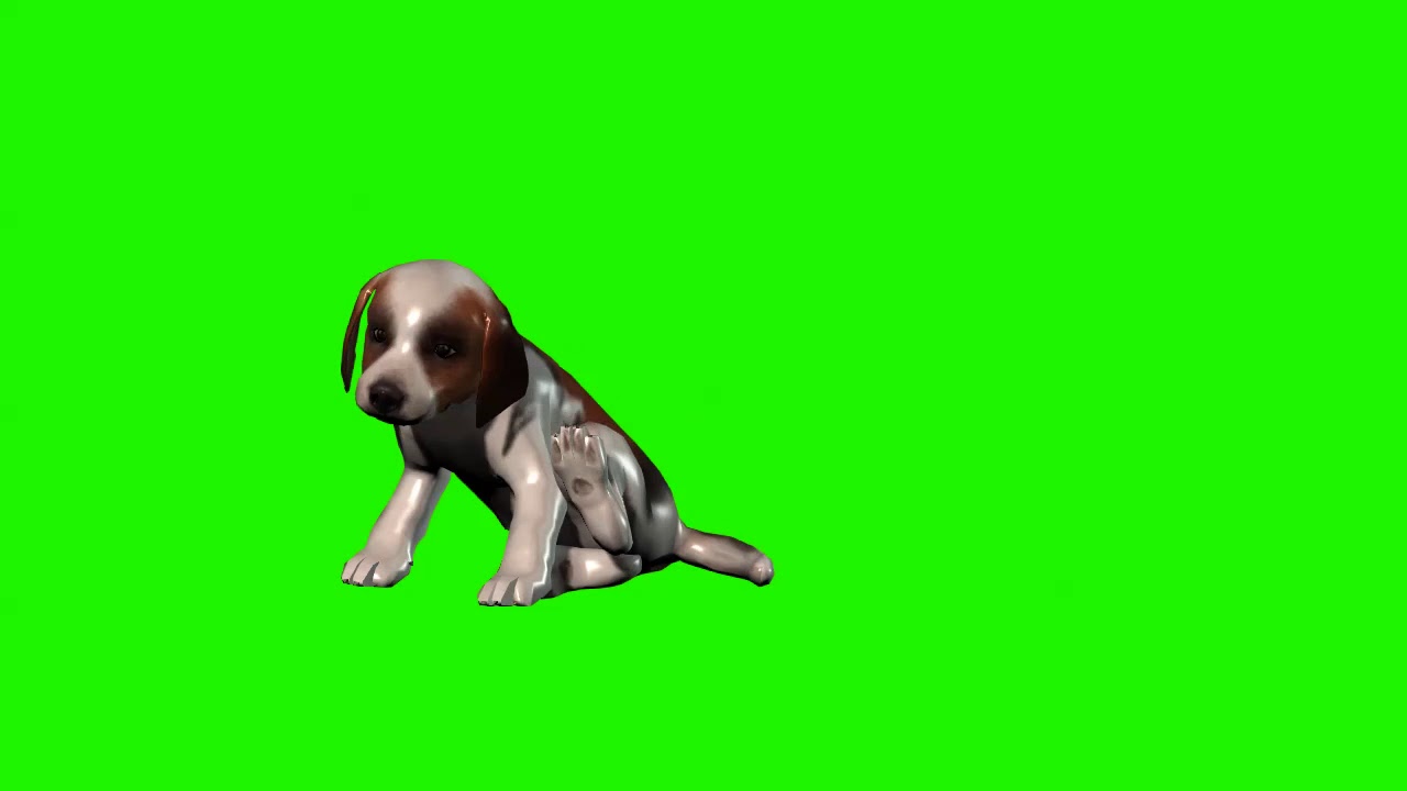 Green screen Dog 1 - YouTube