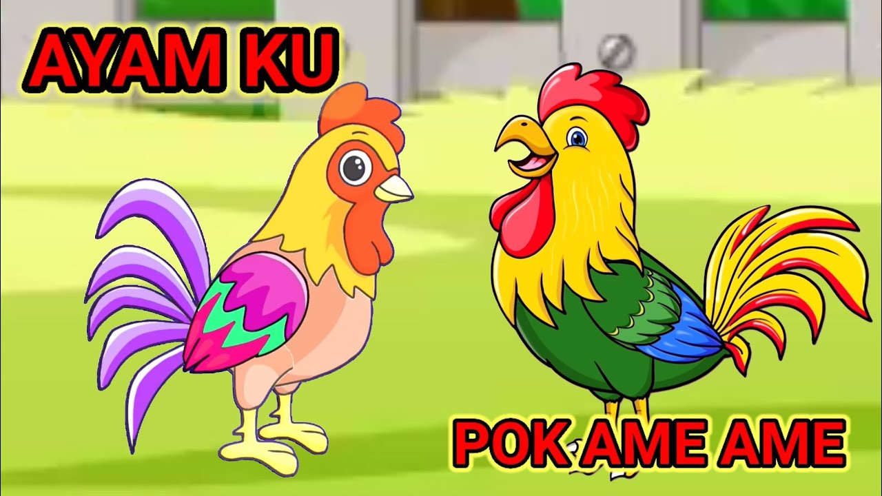ayam lucu//AYAM KU KOK KOK KOK//POK AME AME//lagu anak Indonesia - YouTube