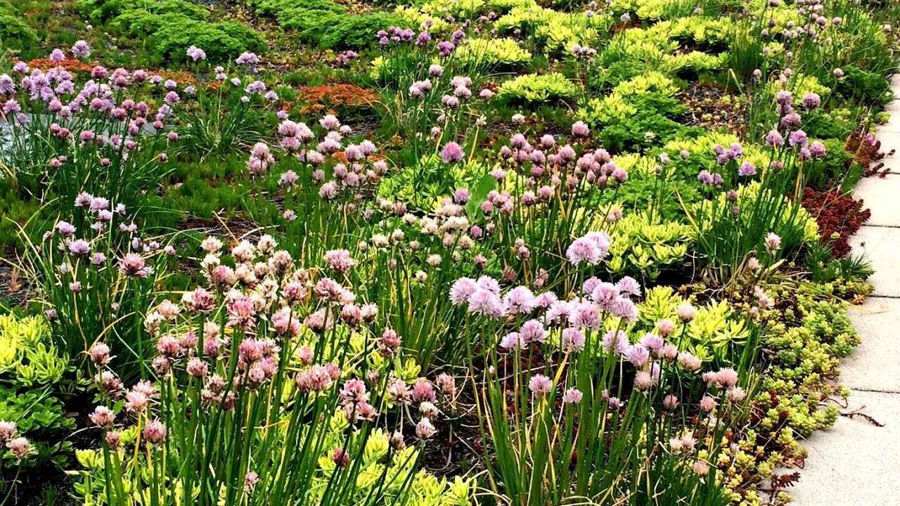 Sam Nunn Atlanta Federal Center - Project of the Week 4/3/17 - YouTube