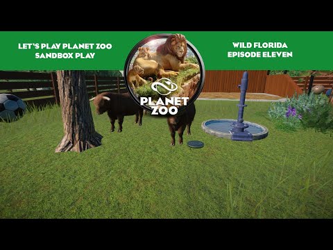 WILD FLORIDA WILDLIFE PARK| PLANET ZOO SANDBOX MODE | EPISODE 11 - YouTube
