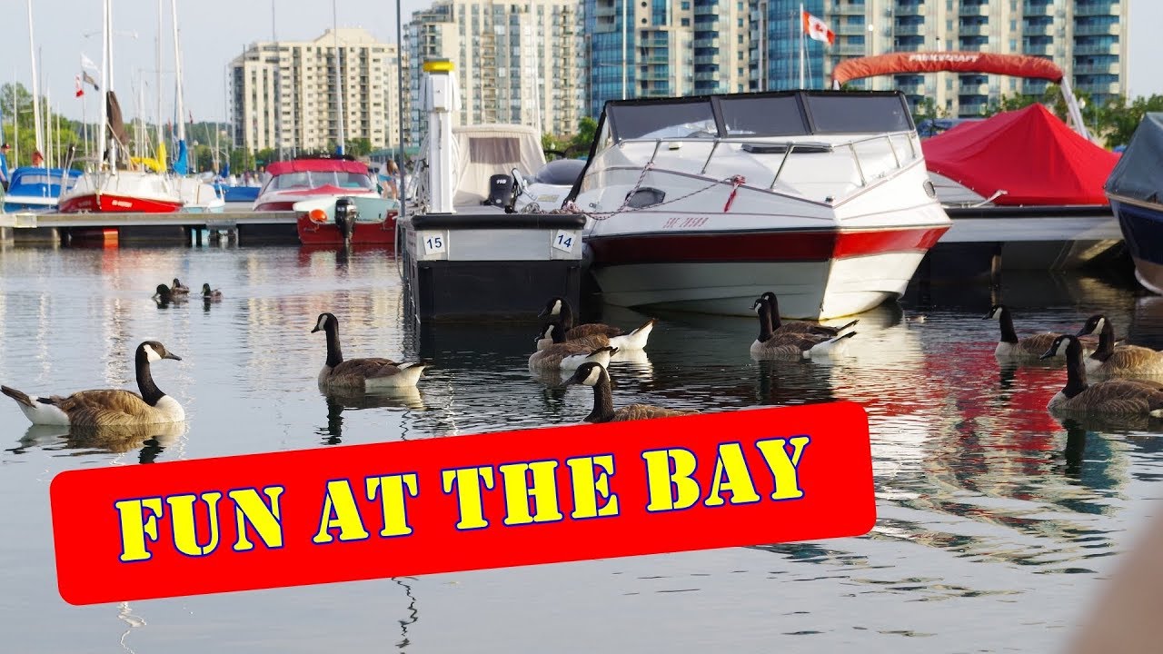 Things you might see in - Barrie Ontario - Kempenfelt Bay - YouTube