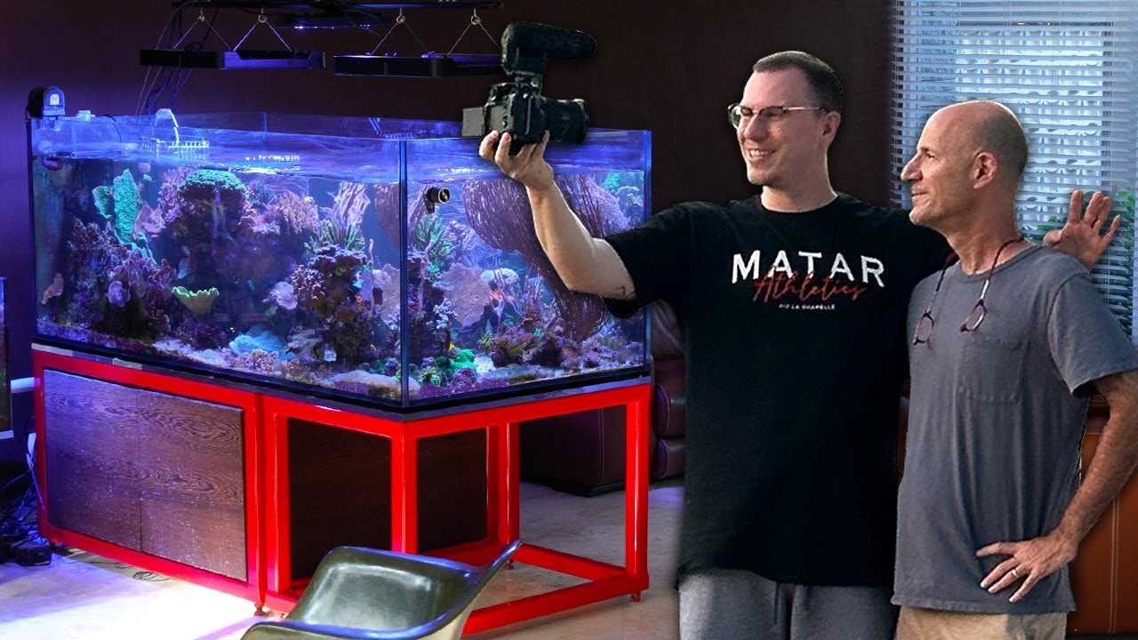 Julian Sprung shows me his REEF AQUARIUM + Natural Ocean water for my ...