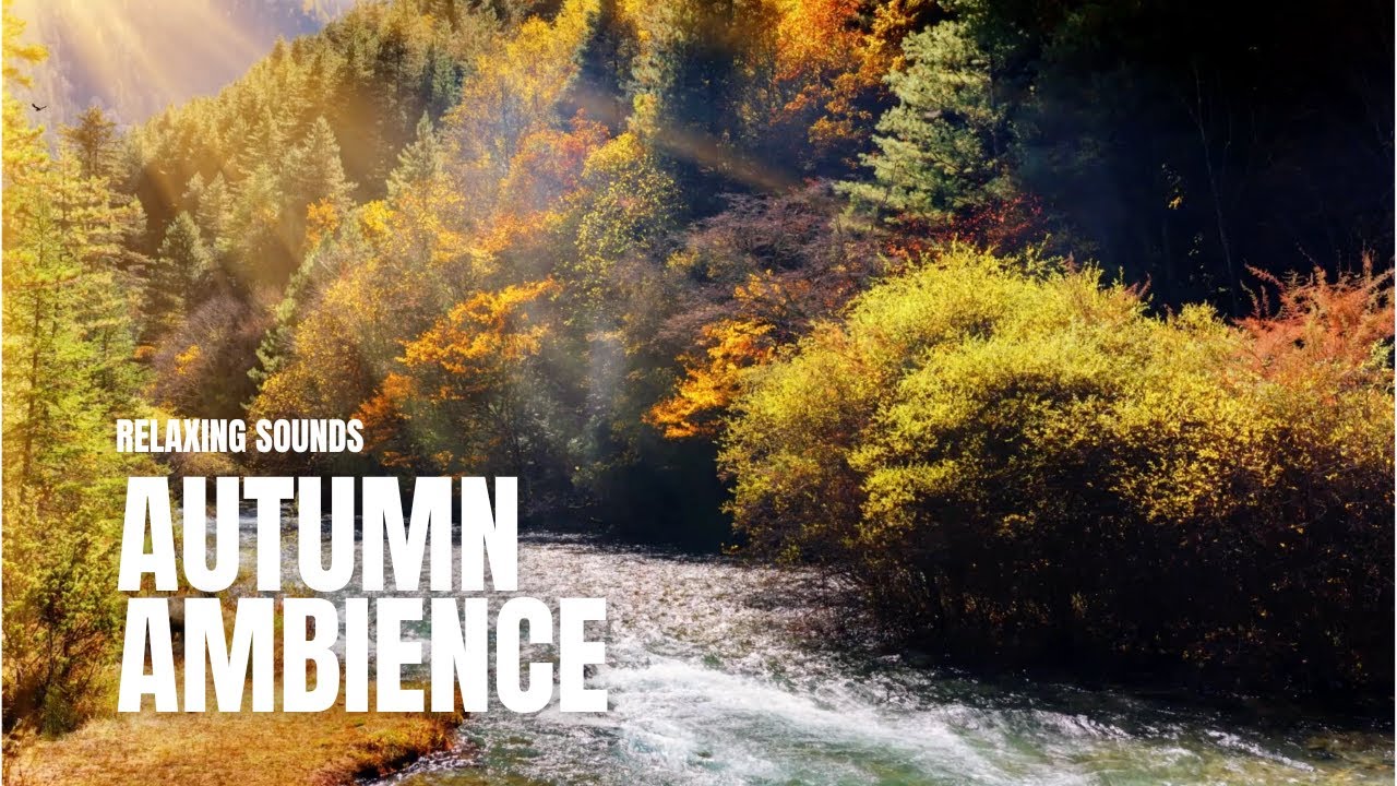 Autumn Ambience - Relaxing Fall Sounds and Soft Music - YouTube