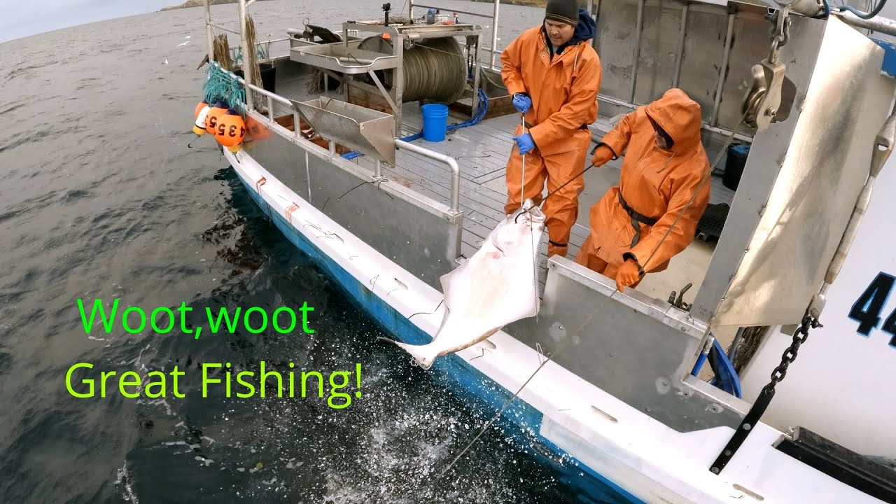 Good Fishing! Alaska Halibut Fishing | Longline Season 2024 - YouTube