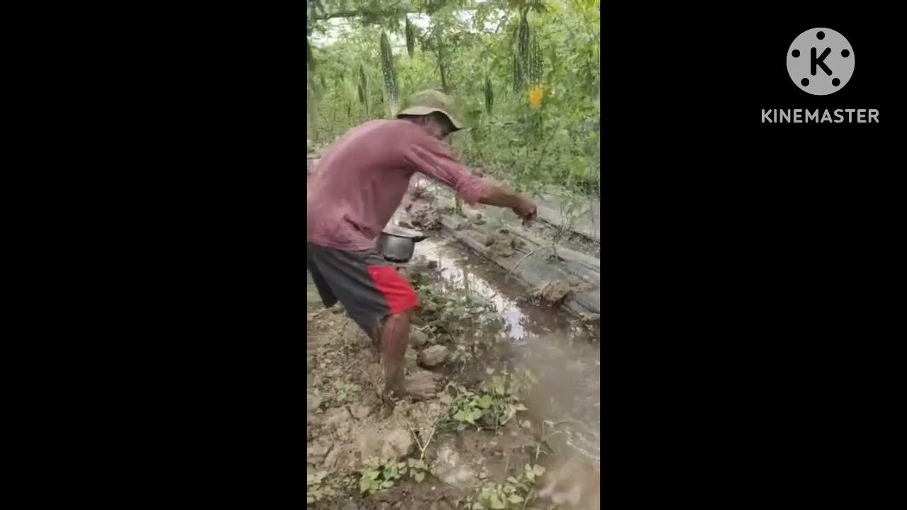 Tara samahan natin si kuya sa farm - YouTube