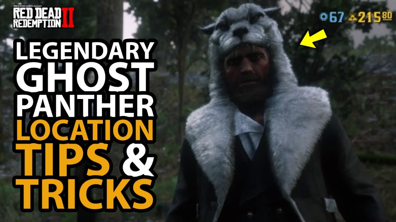 *BRAND NEW* Ghost Panther Location Tips & Tricks in Red Dead Online ...