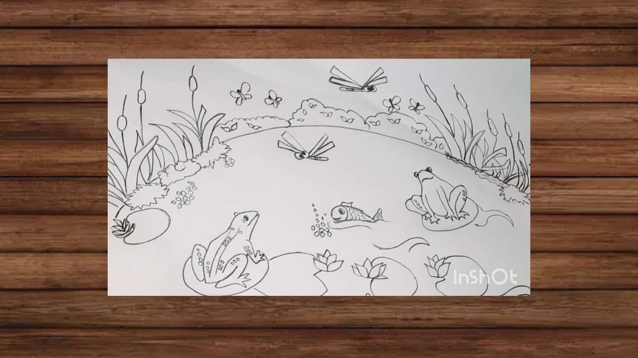 How to draw frogs in the pond || How to draw a frog @ farjana Drawing ...