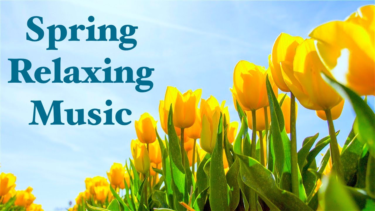 🌷Spring Garden Relaxing Music | Soft Piano and Violin Music for ...