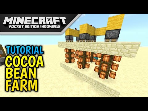 Cara Membuat Cocoa Bean Farm di Minecraft PE! - YouTube