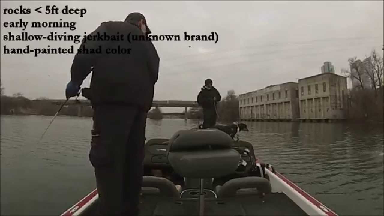 Lady Bird Lake (Town Lake) Fishing Report - 06 Feb 2015 - YouTube