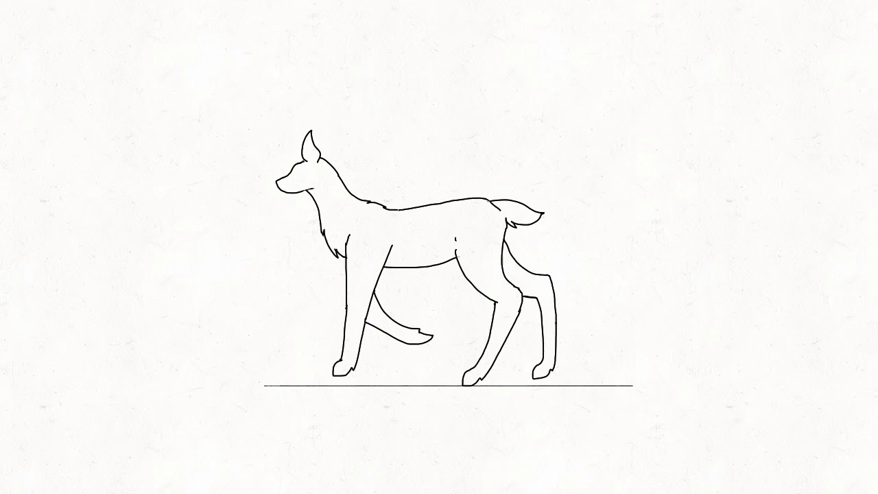Deer walk cycle (line art) - YouTube
