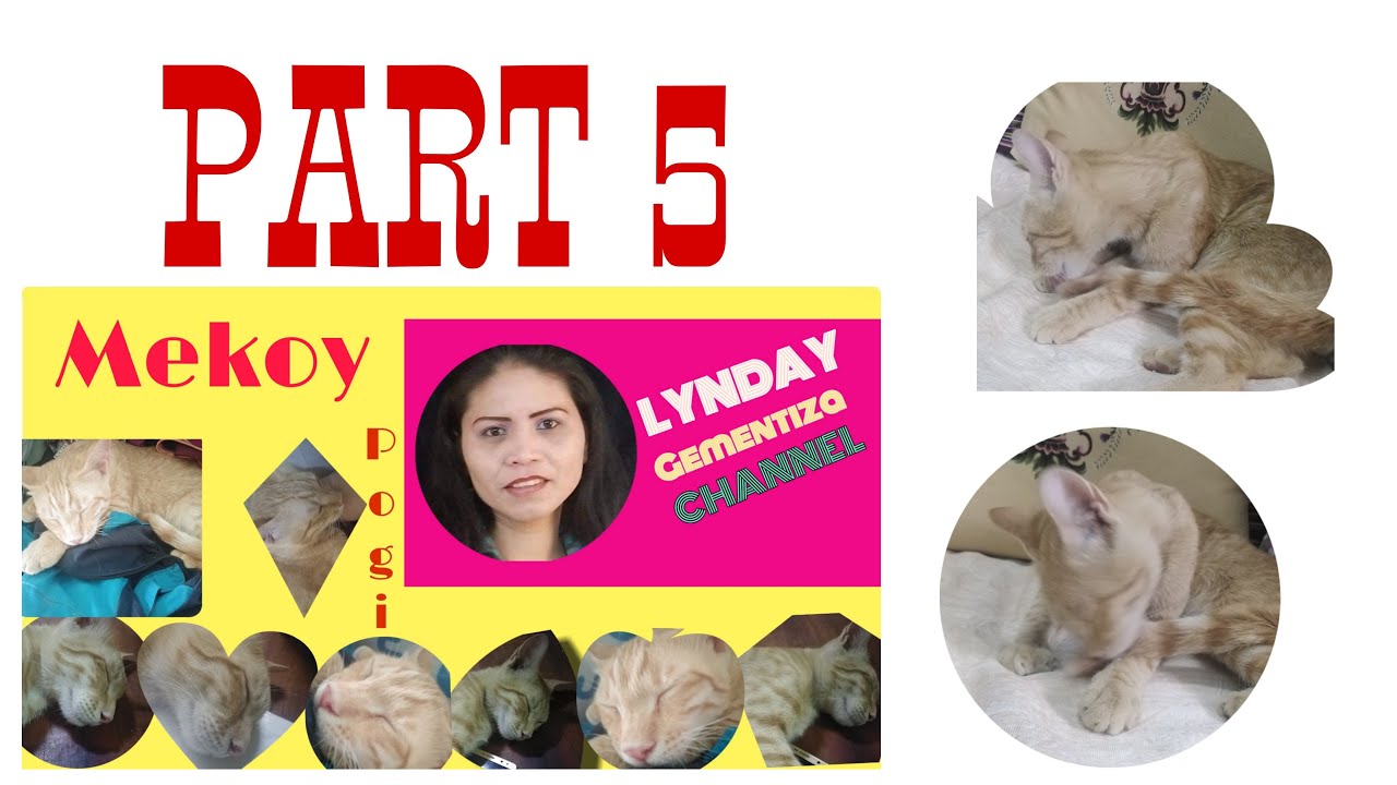 Part 5 Tatlong Linggong Muli Bonding Kami Ni Mekoy ...