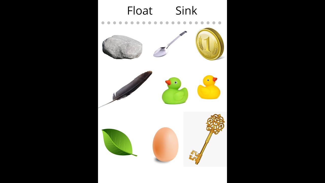 FLOAT & SINK Science Experiment - YouTube