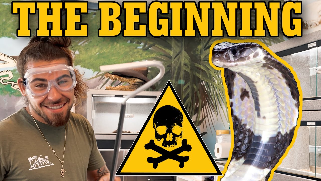Buying my First VENOMOUS SNAKE! (*SPITTING COBRA*) - YouTube
