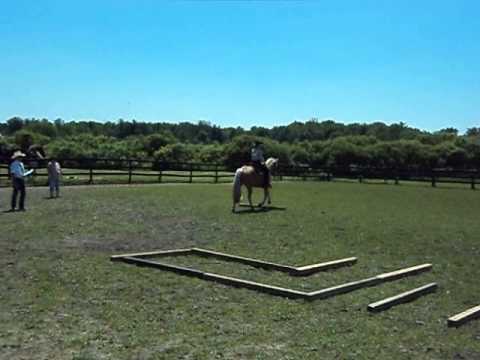Western Trail Class riding Fly - YouTube
