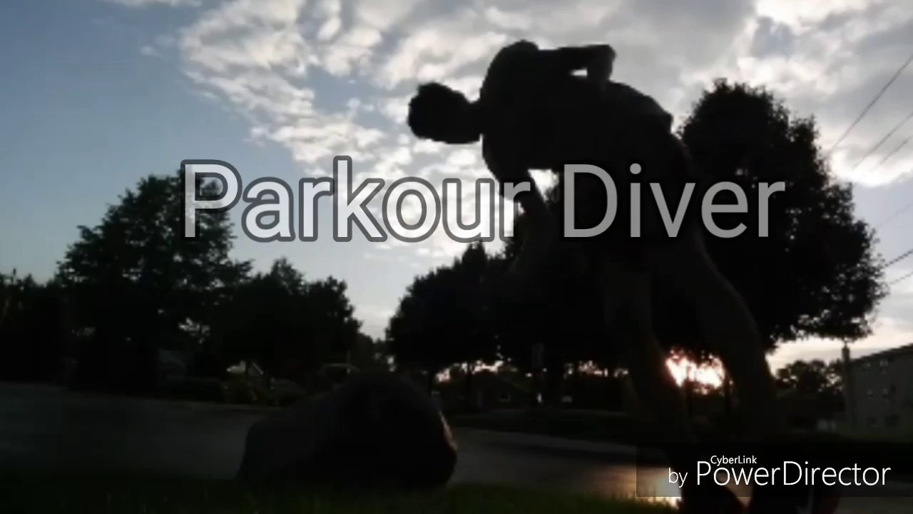 Insane 2017 Diving Board Flips and Tricks! - YouTube