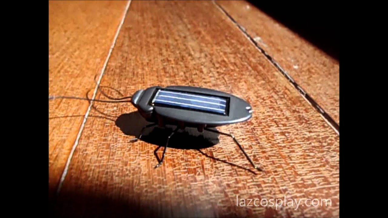 Solar Power Energy Black Cockroach Bug Toy Children [lazcosplay.com ...