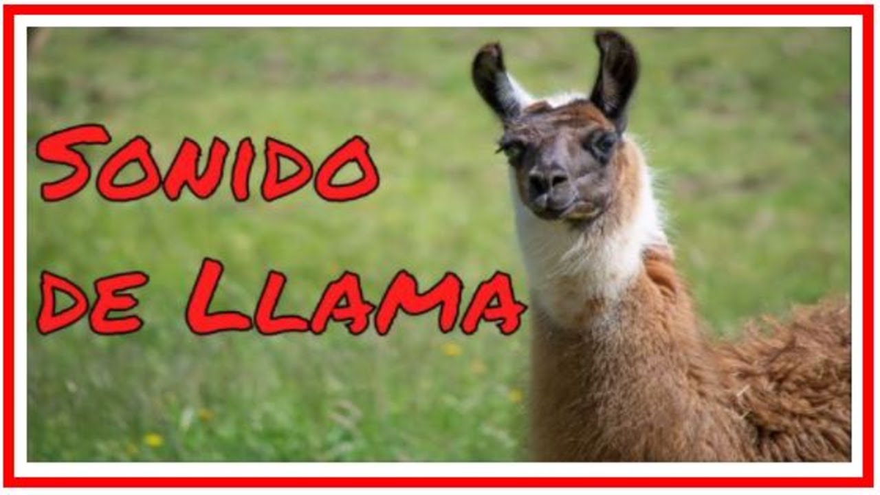 Sonido de llama Sound Flame - YouTube