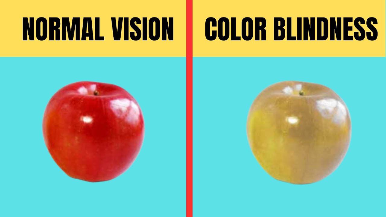 Color bind Quiz. Are you color blind 👀 ? - YouTube