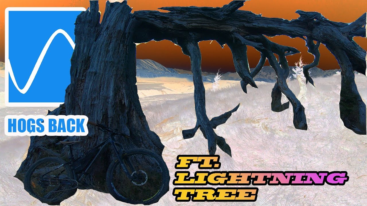 HOGS BACK TRAIL｜Craigieburn Mountain Biking Track, CASTLE HILL, NEW ...