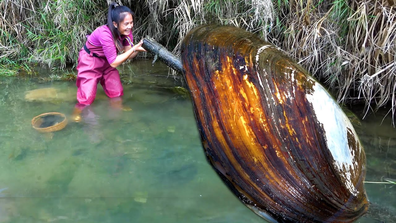 Heavyweight river clams with abundant pearls - YouTube