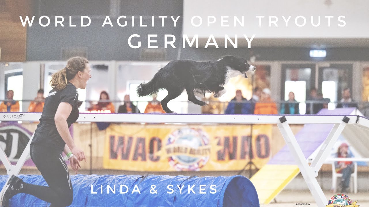 World Agility Open tryouts | Linda Köhler & Sykes - ticket 🎟️ to WAO ...