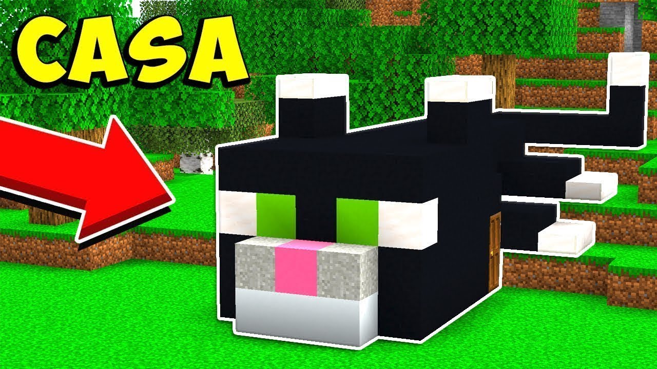 Il recinto dei gatti arredato e il tunnel nascosto nell'isola sperduta ...