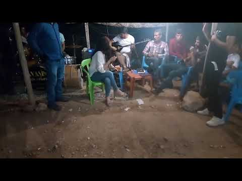 Şu tepe pullu tepe (harika performans)