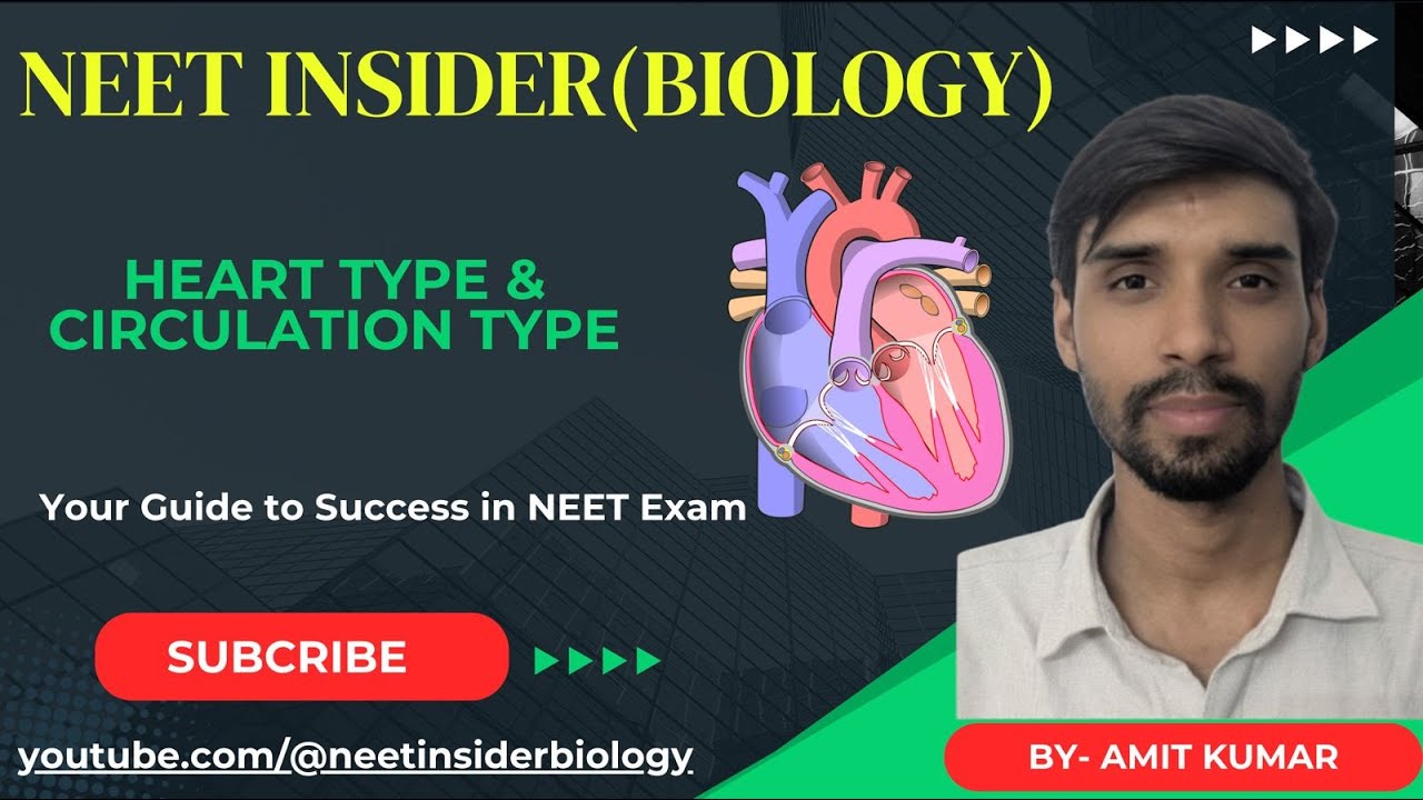 Neurogenic & myogenic heart and types of circulations - YouTube