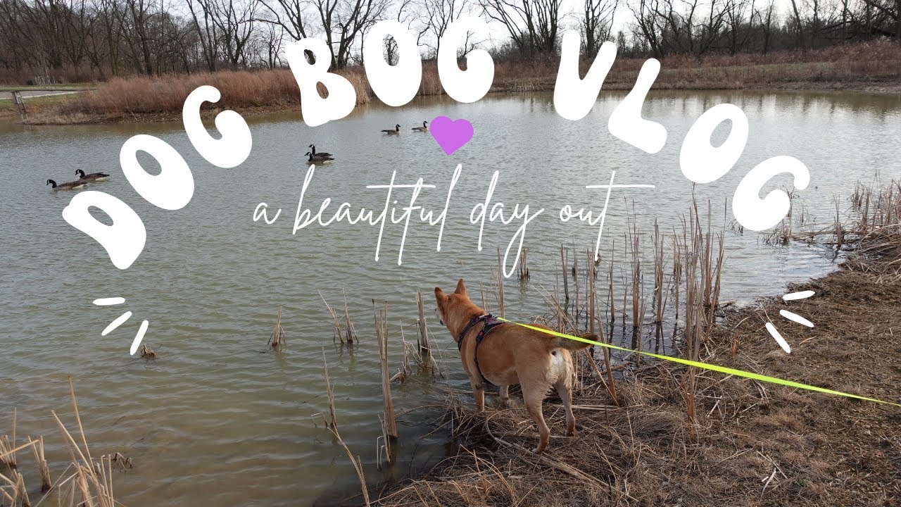 Dog Bog Vlog - A Beautiful Day Out with My Husband and Our Dog! - YouTube
