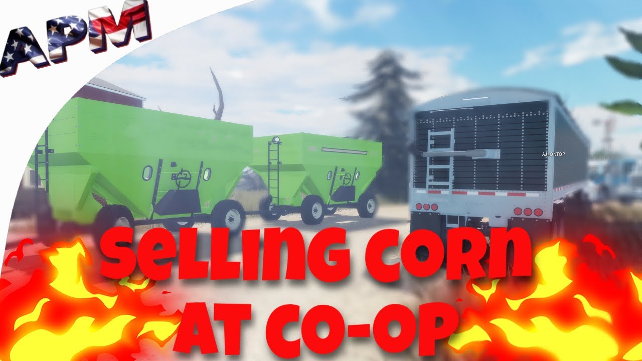 Selling Corn At My Local CO-OP. | American Plains Mudding - YouTube