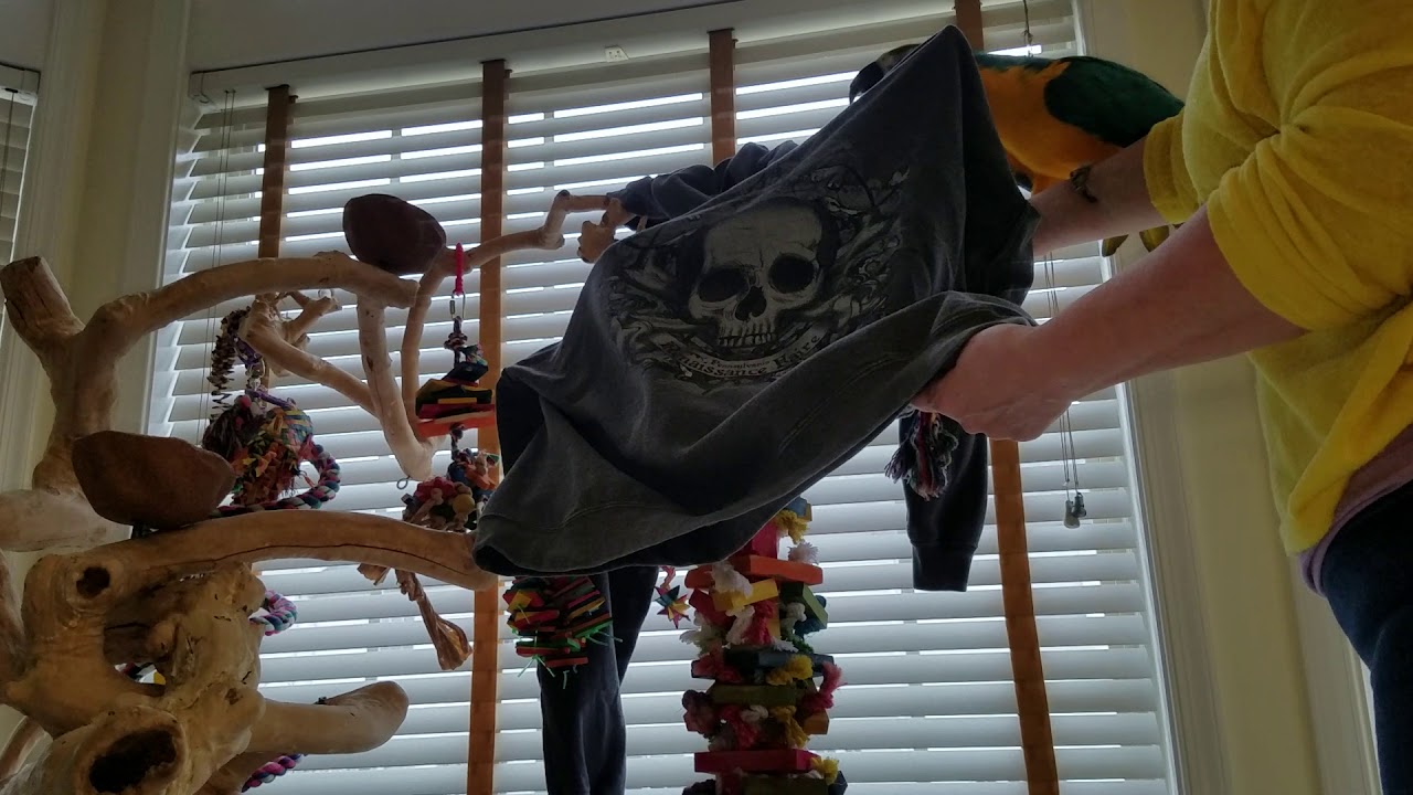 Max finger - YouTube