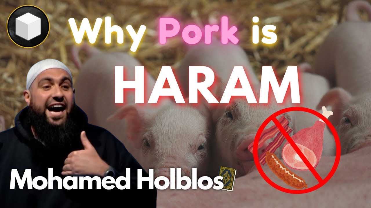Why Is Pork Haram in Islam? | Powerful Explanation by Mohamed Hoblos ...