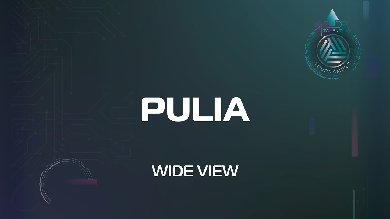 1 PLACE PULIA WIDE VIEW SHOW BABIES TOP TALENT TOURNAMENT 2024 - YouTube