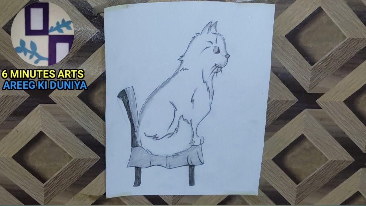 How to draw a beautiful cat sitting on the chair || drawing arts ...