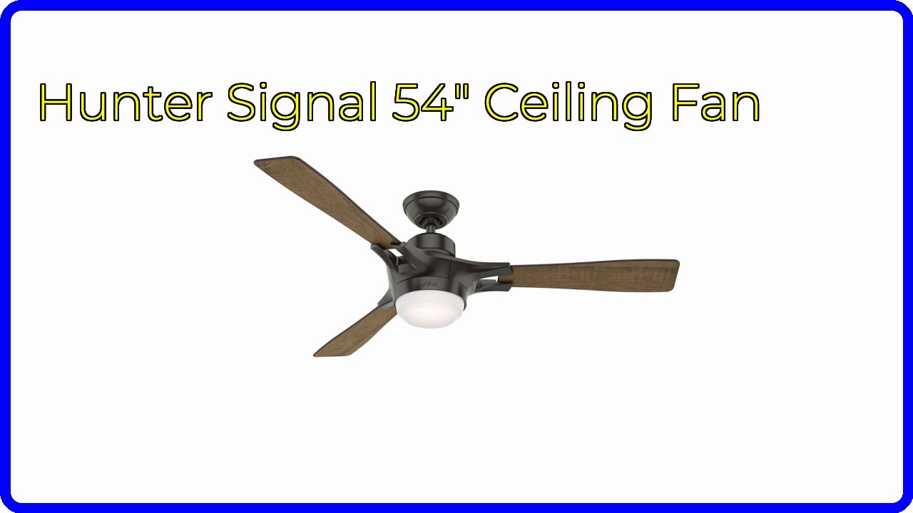 REVIEW (2025): Hunter Signal 54" Ceiling Fan. ESSENTIAL details. - YouTube