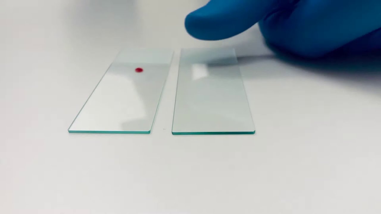How to make a blood smear - YouTube