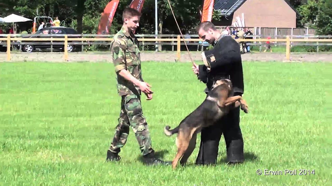 Demonstraties bewakingshonden.640 Squadron Volkel in de Wolken 25-04-2014 - YouTube