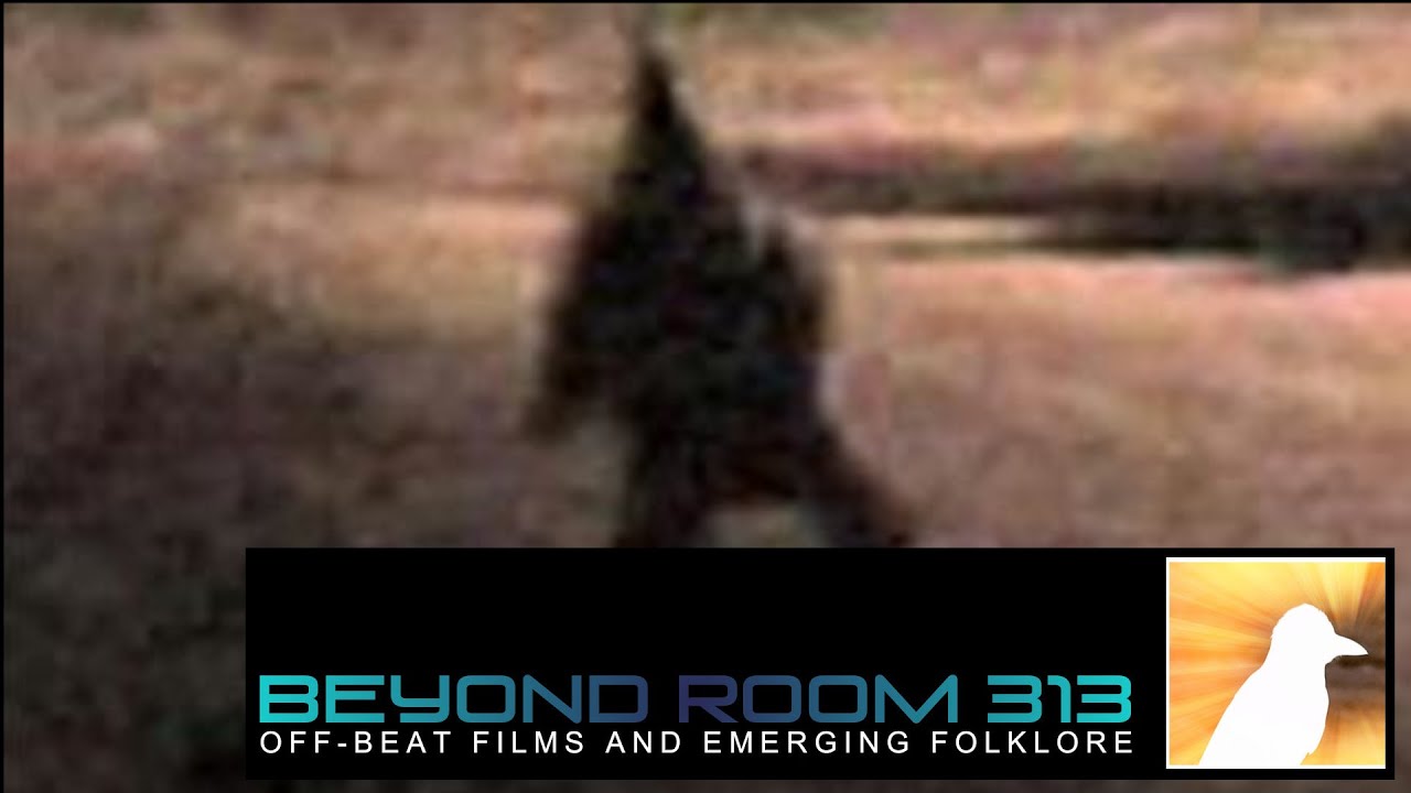 Gnome Footage Brazil 2008 - YouTube
