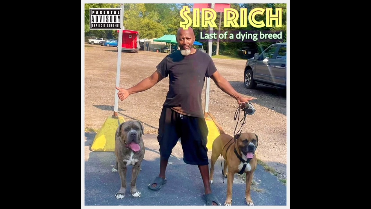 Sir Rich and the Explorer's💯 - YouTube