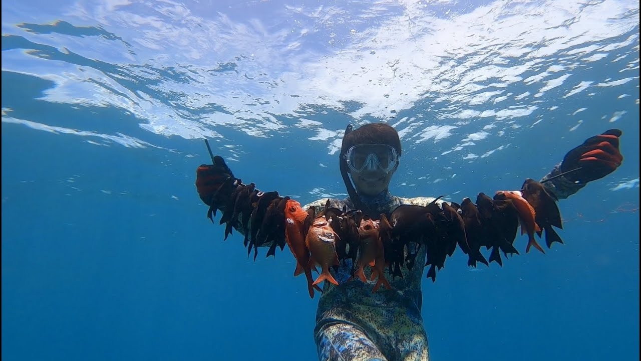 MENPACHI AND KOLE 3 PRONG DIVE| SURPRISE CATCH?| HAWAII SPEARFISHING ...