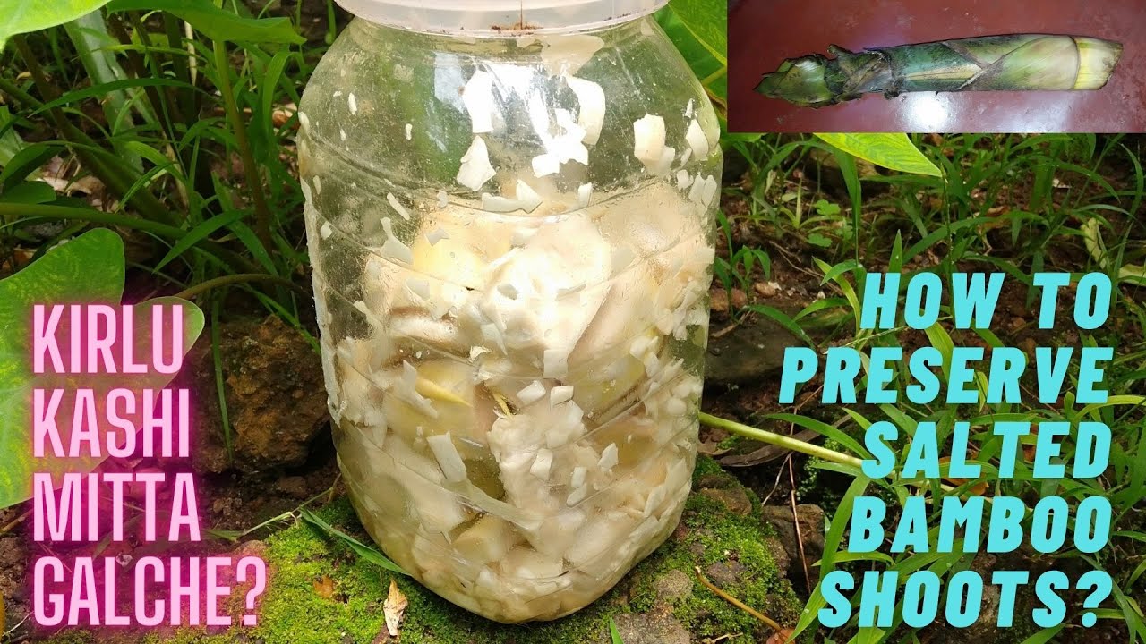 Kirlu kashi mitta galche? How to preserve salted bamboo shoots? # ...