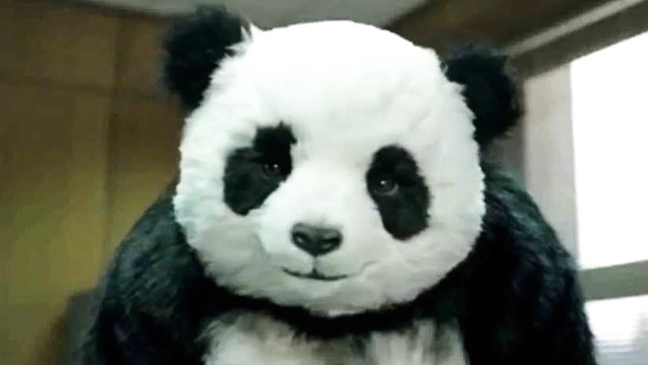 Rapido y Pandoso (?) digo Furioso XDDD [TOT: 327.923.000] AgNO3 [PANDAS ...