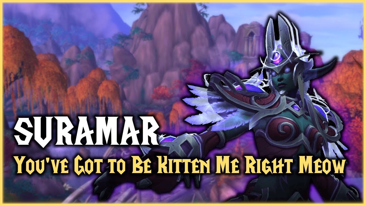 You've Got to Be Kitten Me Right Meow - YouTube