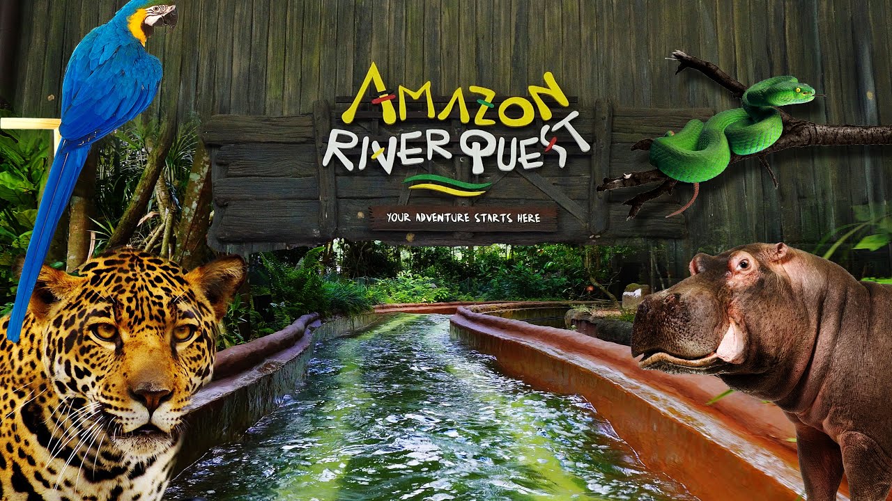 AMAZON RIVER QUEST - Singapore River Safari - YouTube