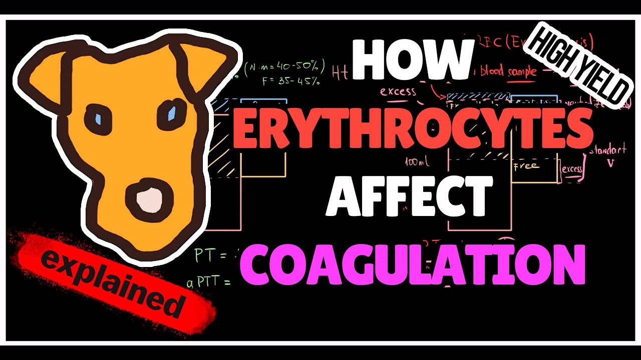 How Hematocrit Affects Coagulation in Polycythemia. Citrate overload ...