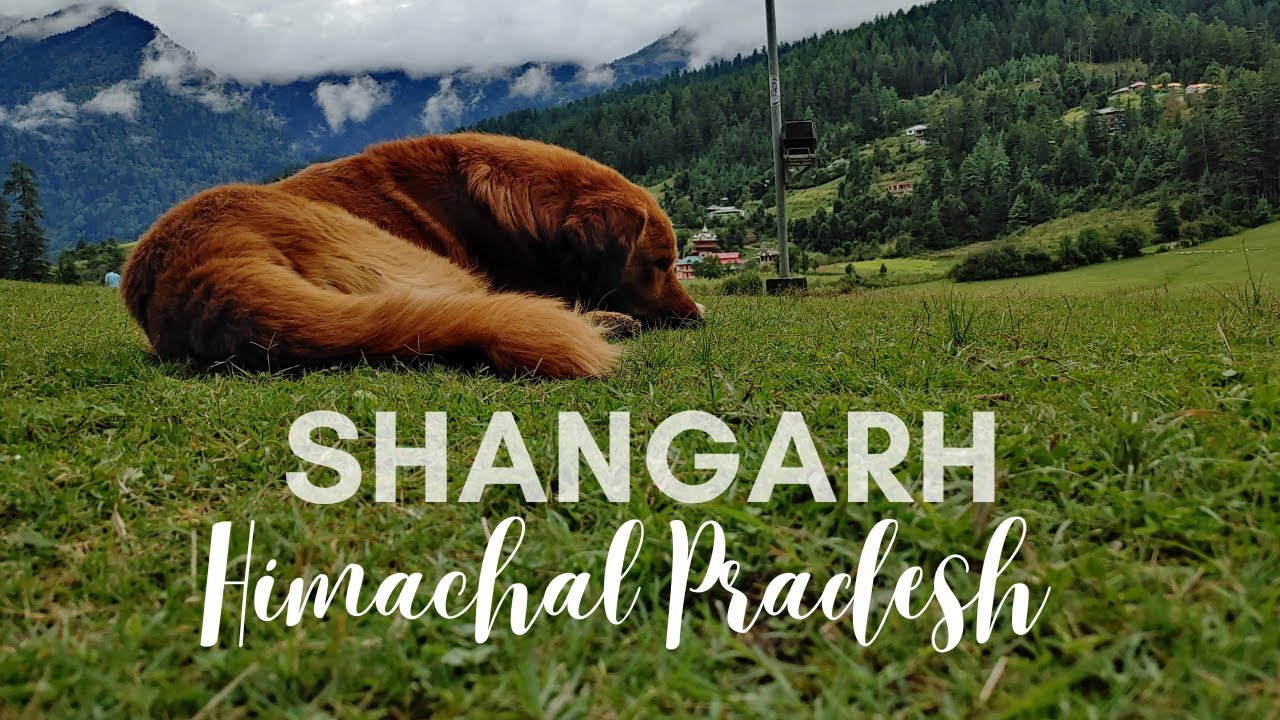 Shangarh Himachal Pradesh Part III | Himachal Pradesh travel series ...