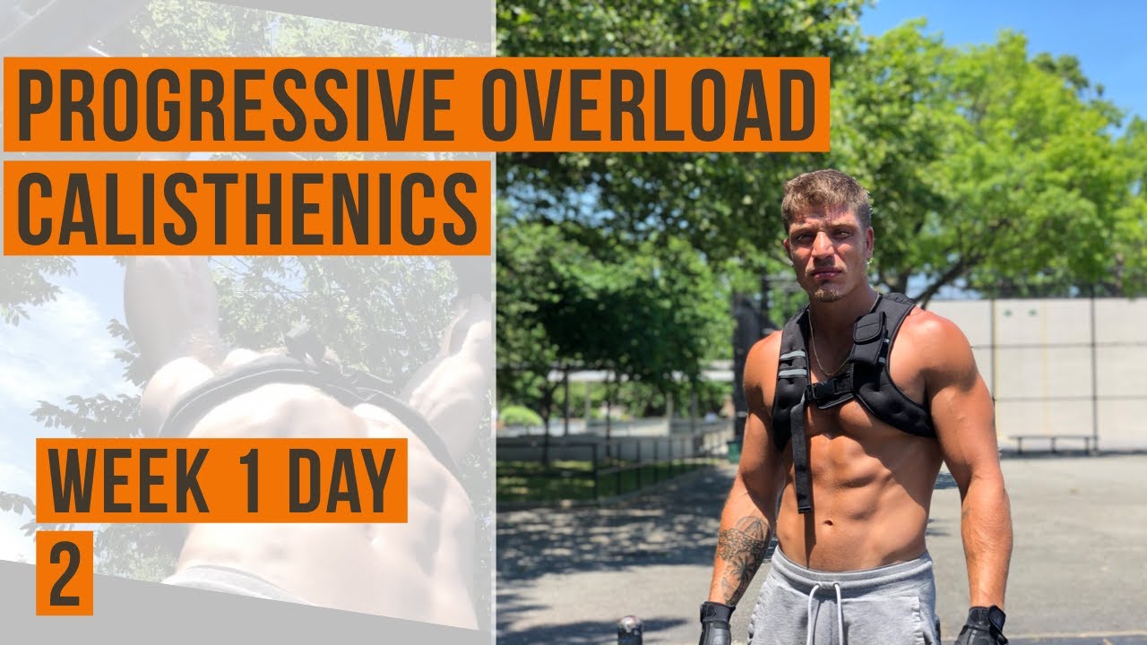 PROGRESSIVE OVERLOAD TRAINING | HOW TO ENSURE YOU MAKE PROGRESS | DAY 2 ...